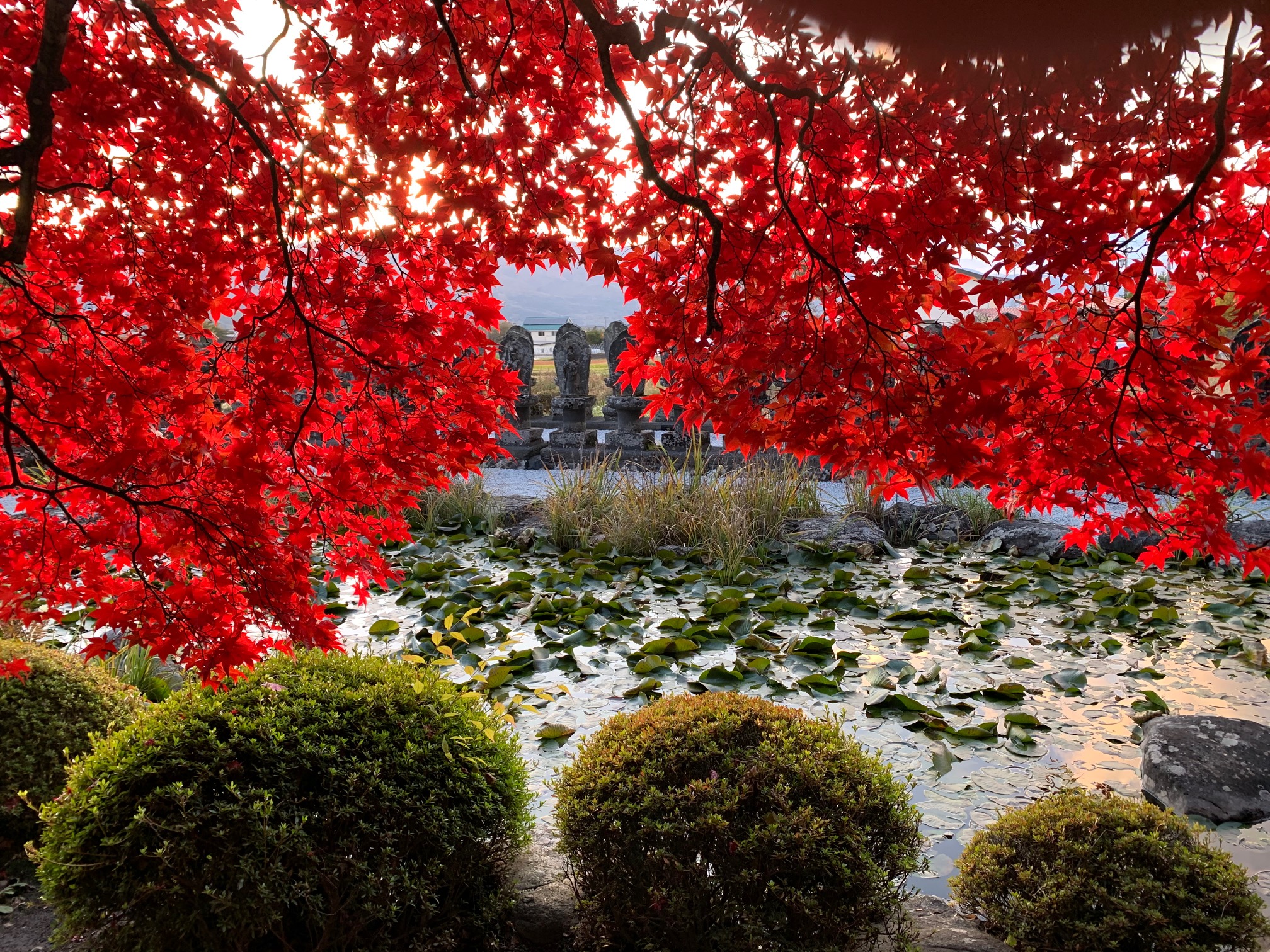 dIMG_0852 – 協立電業株式会社